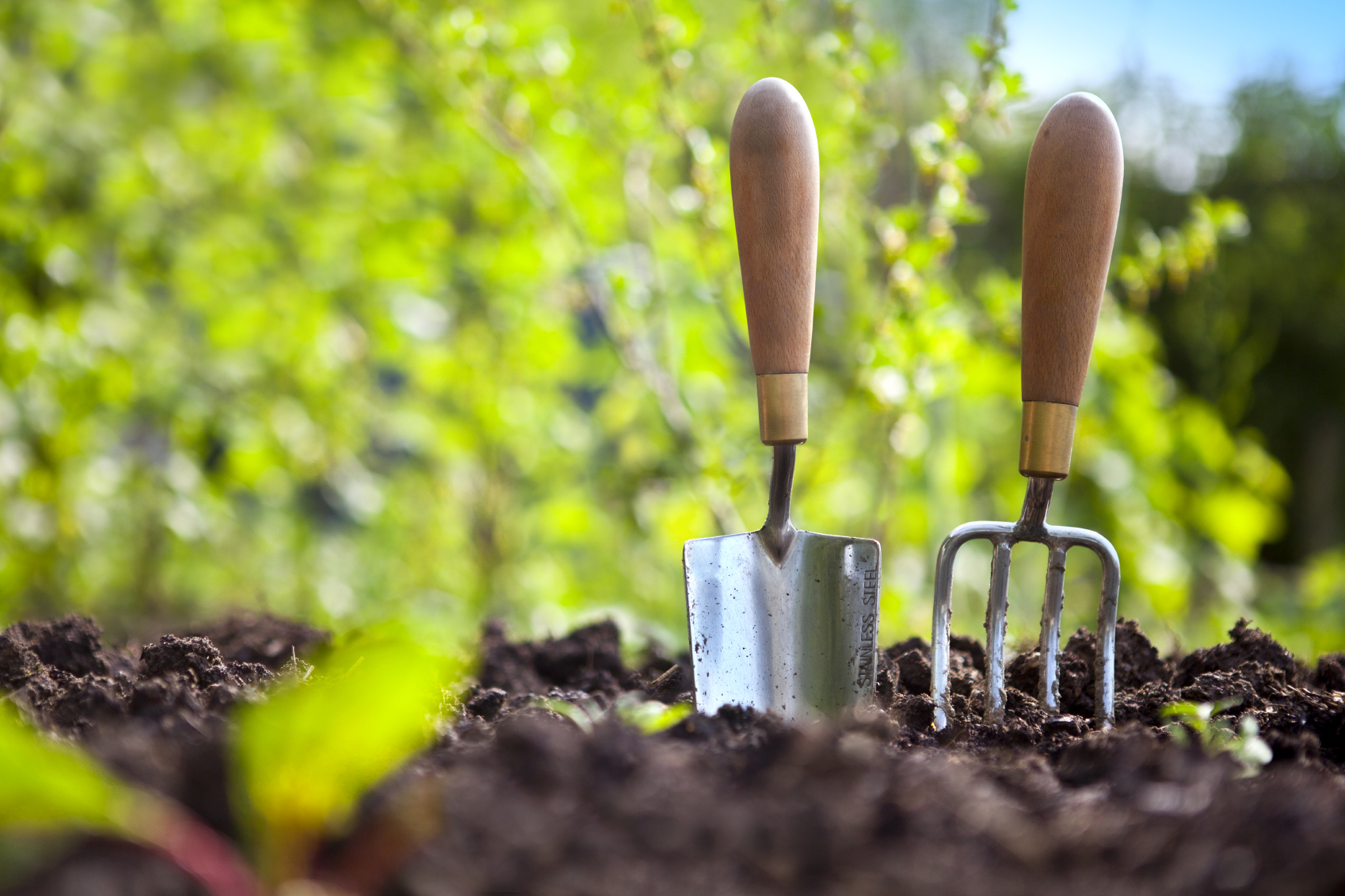 Creating a community garden - News - Cardiff University