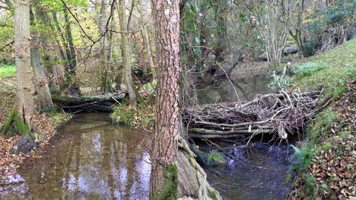 Investigating the role of leaky barriers in flood attenuation - News ...