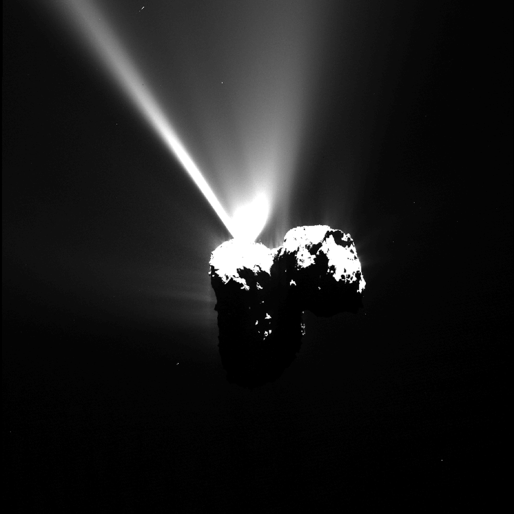 Rosetta mission uncovered at Museum - News - Cardiff University