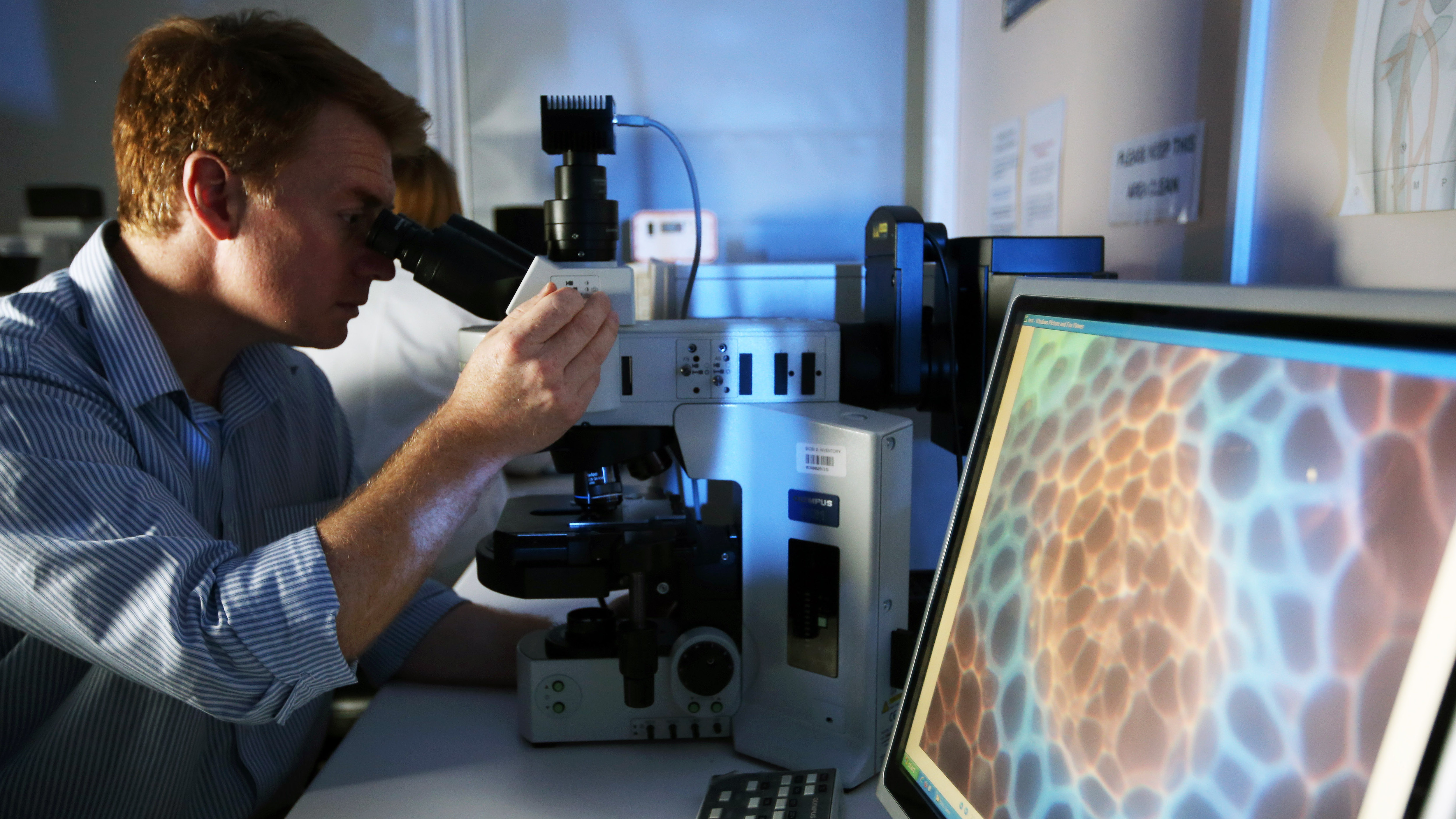 Research development - School of Biosciences - Cardiff University