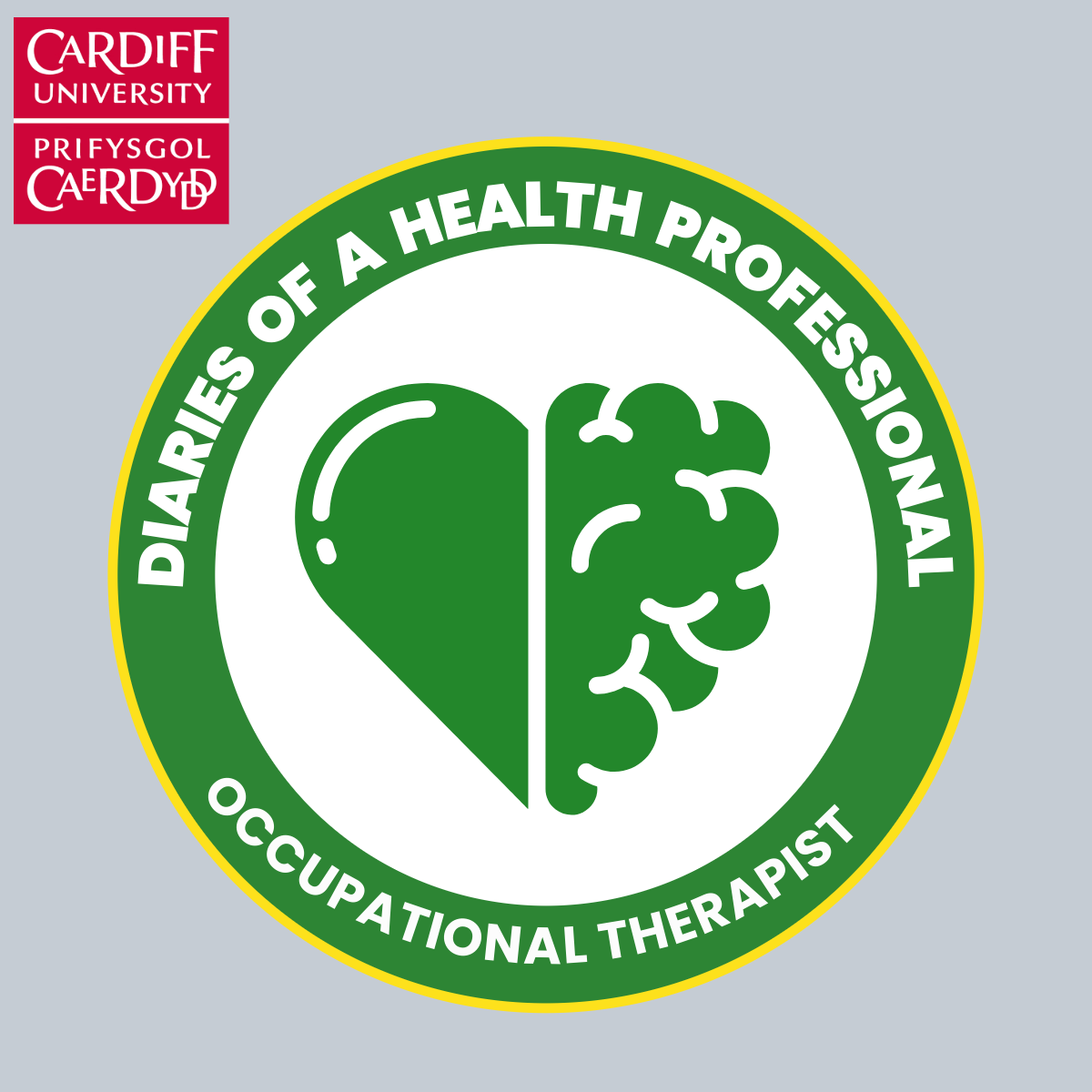 Podcast: Diaries of a Healthcare Professional - School of Healthcare ...