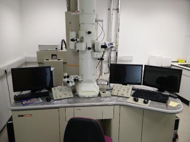 Scanning Electron Microscope London Centre For