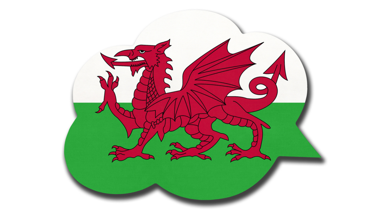 Modiwl cyfrwng Cymraeg newydd sydd yn canolbwyntio ar reoli busnes ar ...
