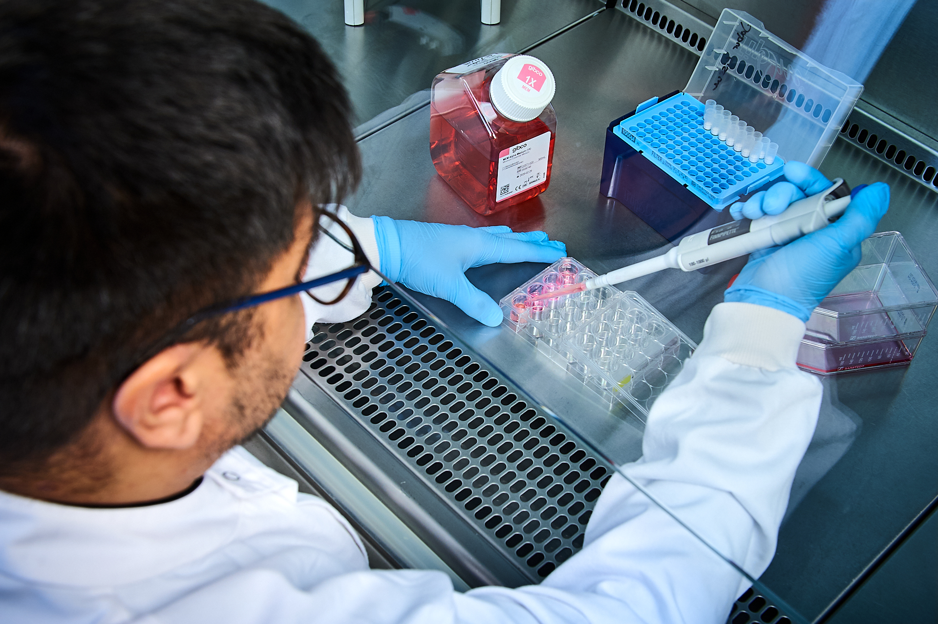 Tissue Engineering and Regenerative Medicine (MSc) - Study - Cardiff ... Tissue Engineering and Regenerative Medicine (MSc) - Study - Cardiff ...