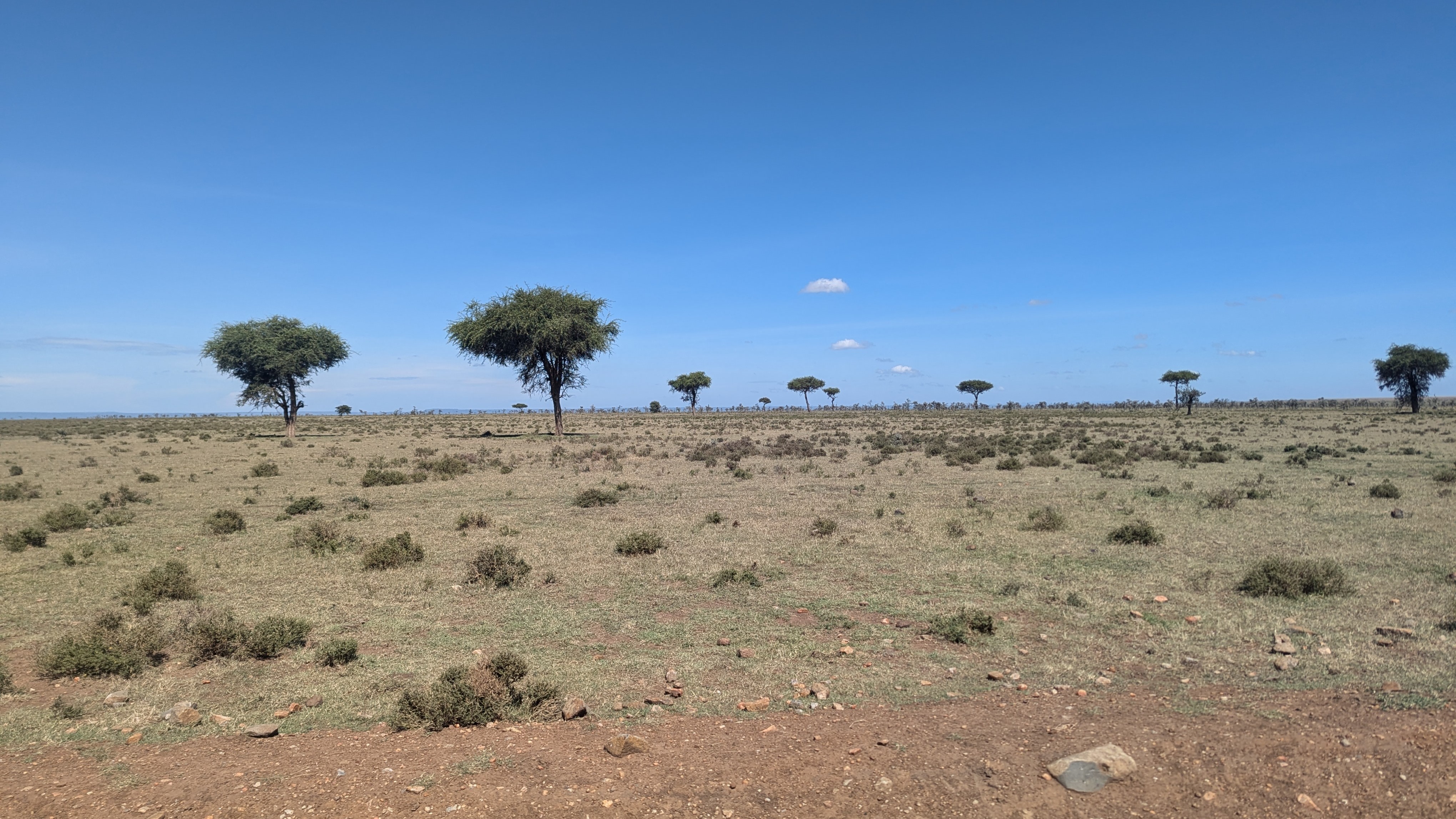Earth's growing thirst is making droughts worse, even where it rains ...